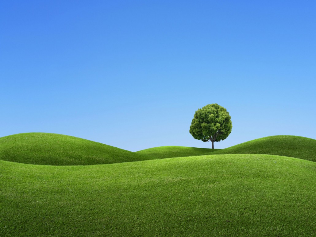 A_tree_on_a_green_hill_3d_wallpaper - Synergy Inmate Phones